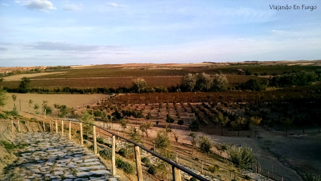 Enoturismo en familia en Finca La Estacada - Viajando En Furgo