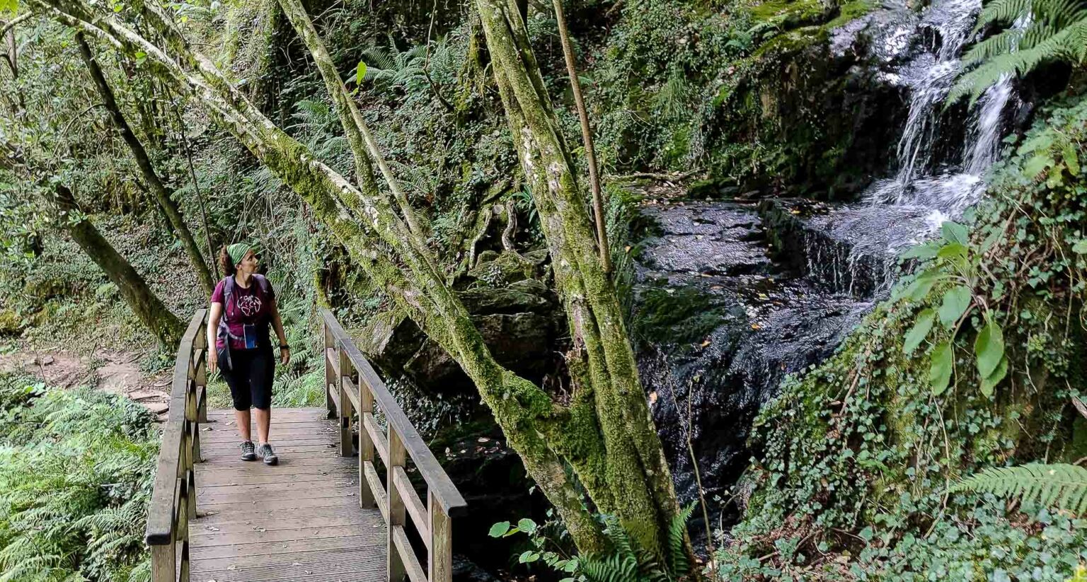 Ruta da Ventureira - Fragas do Eume - Viajando En Furgo